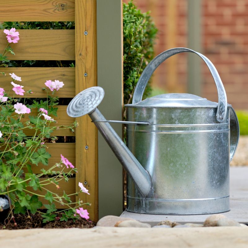 Practical Garden Design: How to Create Outdoor Living Areas with Fenci ...