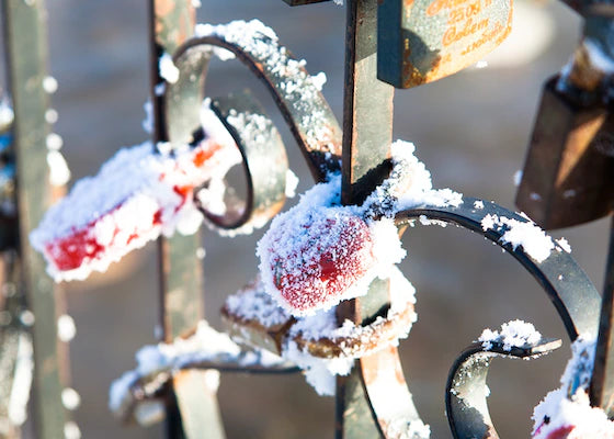 How to Unlock a Frozen Door Lock – Birkdale